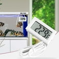 Fish Tank Thermometer Tropical Aqua One Glass Thermometer - Roxy ...