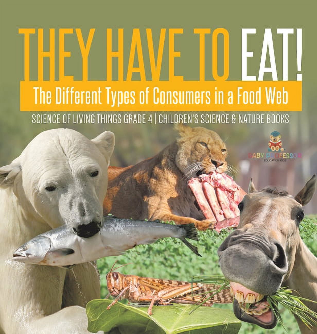 They Have to Eat!: The Different Types of Consumers in a Food Web ...