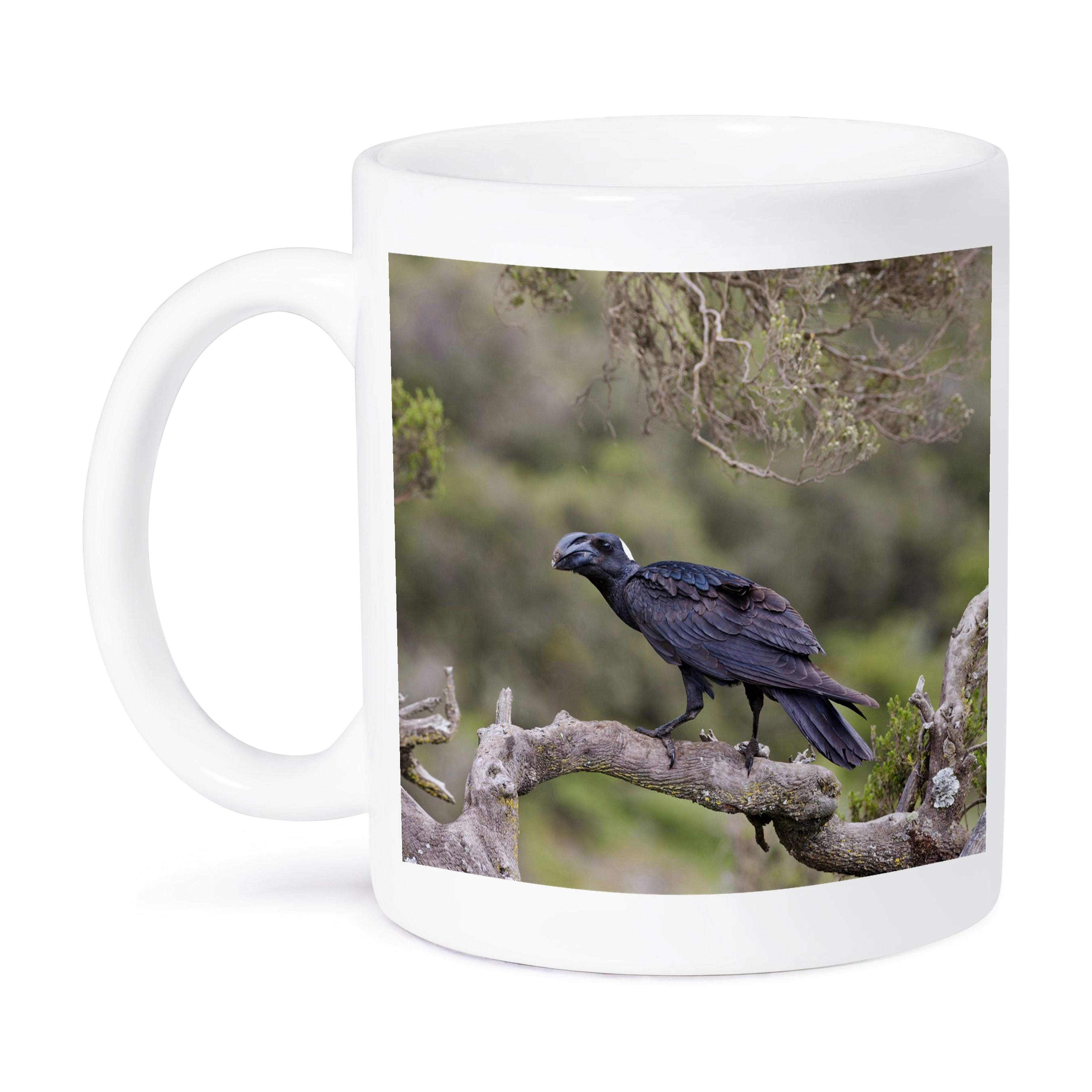 3drose, Thick-billed Raven Bird in the Highlands of Ethiopia - Af16 ...