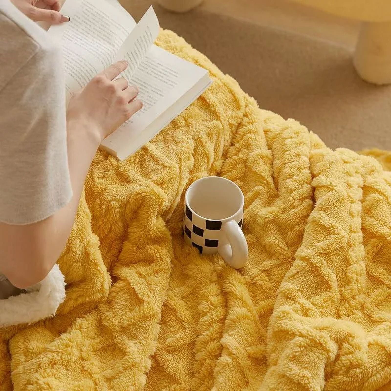 Thick Blanket Lamb Wool Warm Sleeping Double Side Microfiber Flannel ...