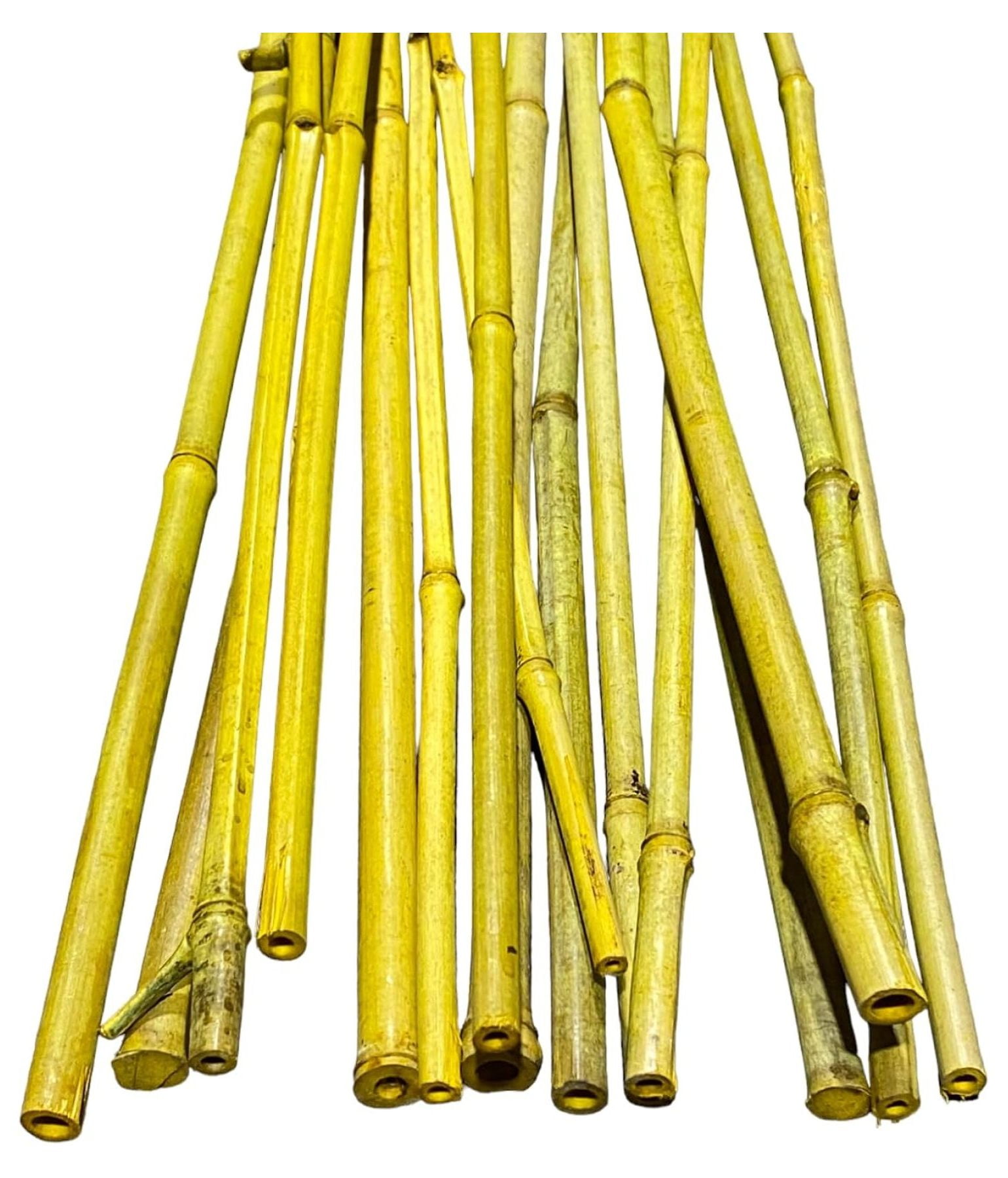 Thick Colorful Bamboo Poles - 0.5" (inches) Thick - Pack of 16-6 Colors ...