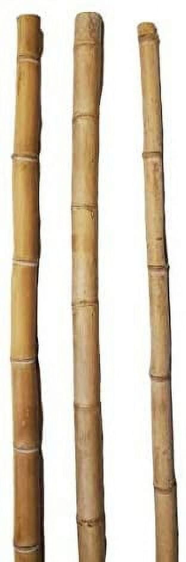 6 Feet Tall Thick Natural Bamboo Poles, 1.5 Inch Diameter - Pack of 3 ...