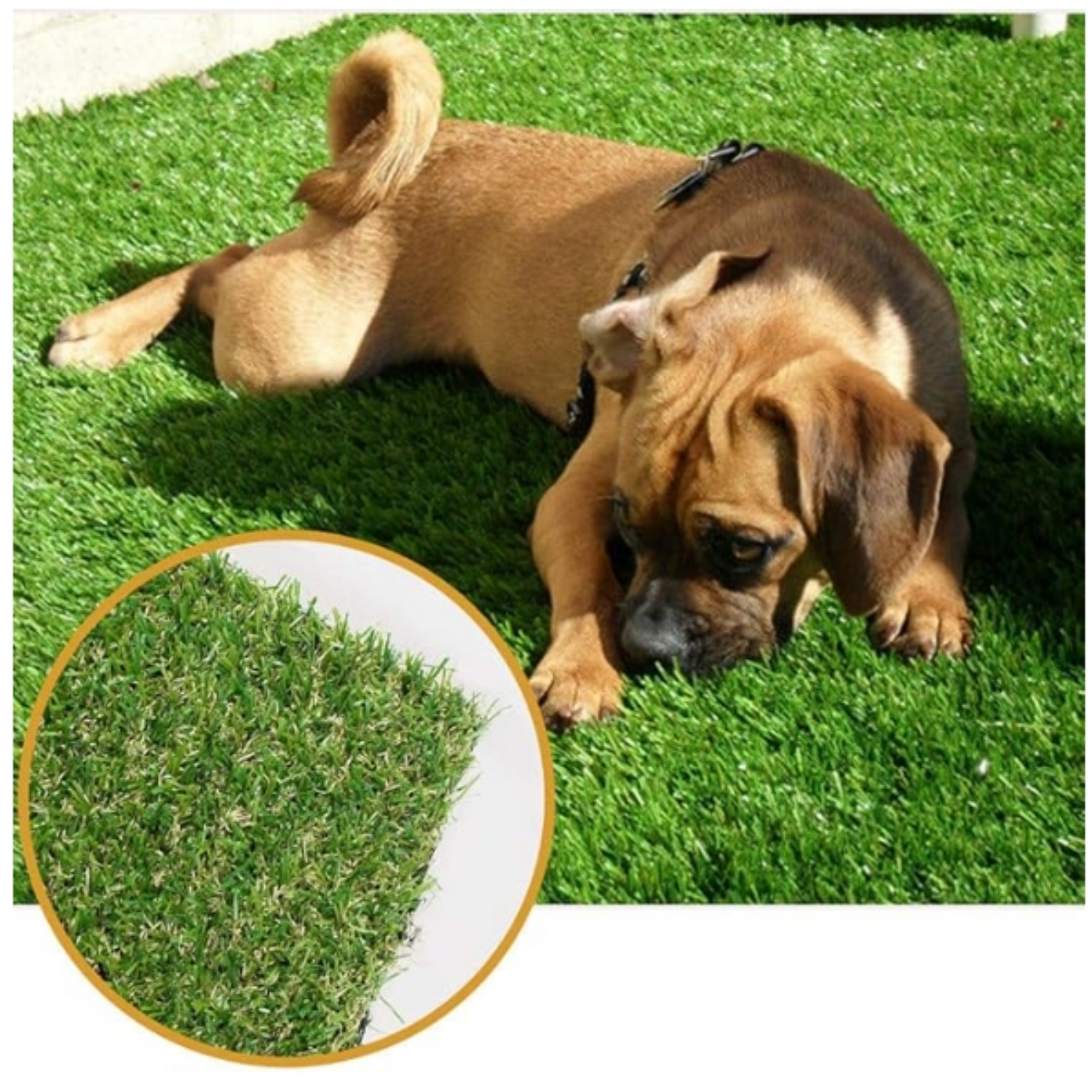 Thick Realistic Artificial Grass Mat Customized Sizes, 5ft x 10ft ...
