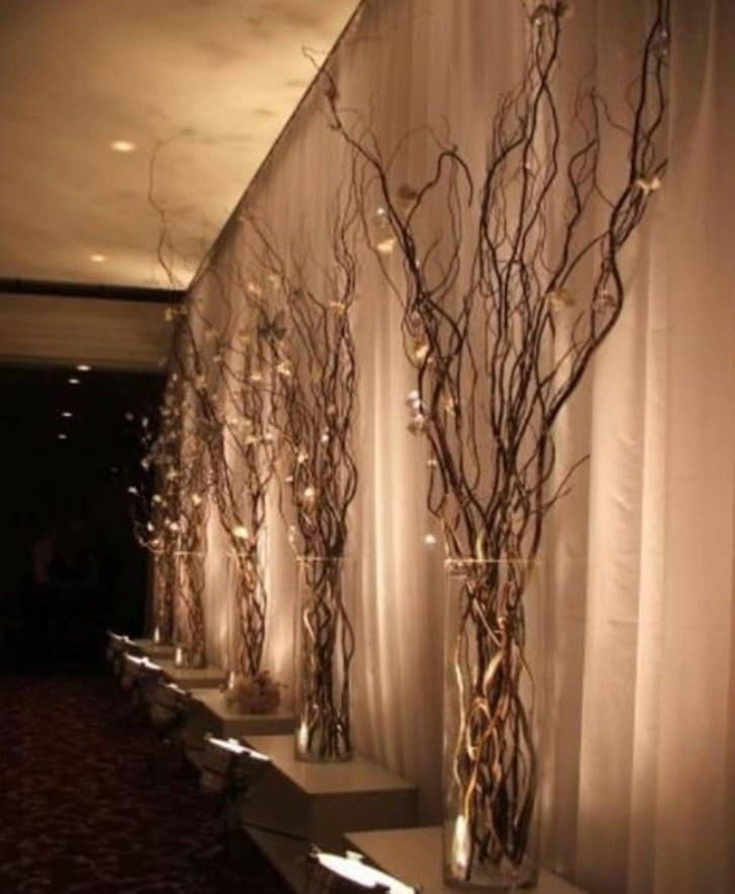 Thick and Tall Natural Curly Willow Branches for Decor, 3-4 Feet Long ...