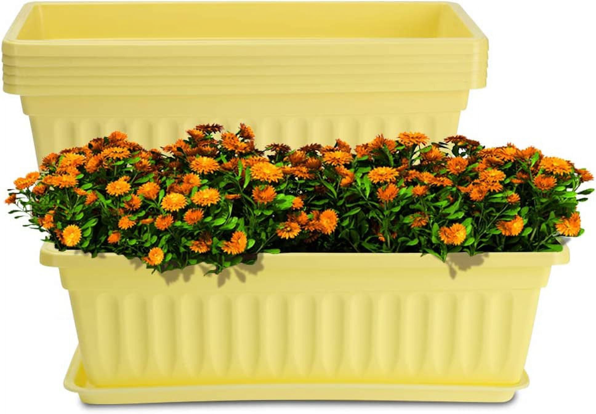 Thicken Window Box Planter, 1 Pack Plastic Vegetable Flower Planters ...