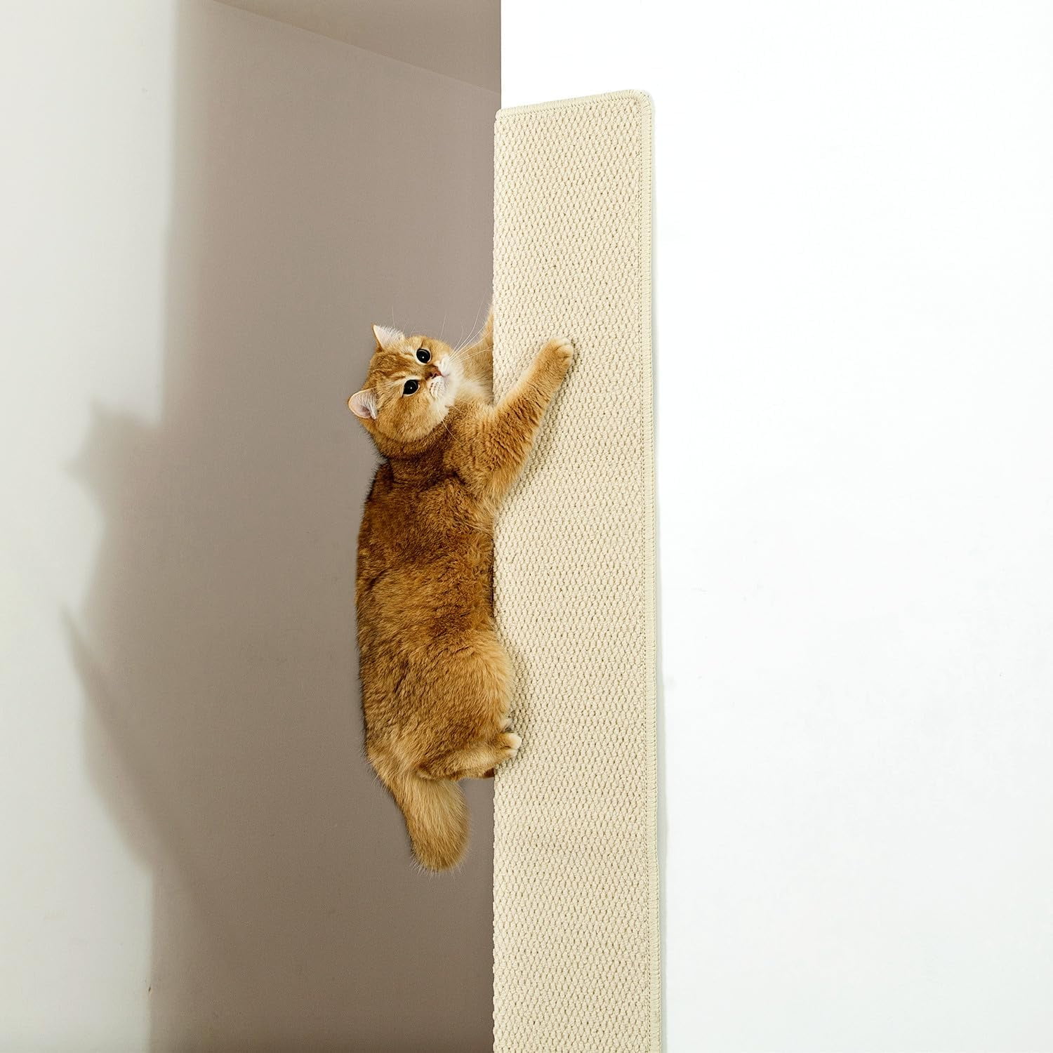 Thickened Cat Wall Corner Climbing Carpet, Cat Wall Furniture, Wall ...