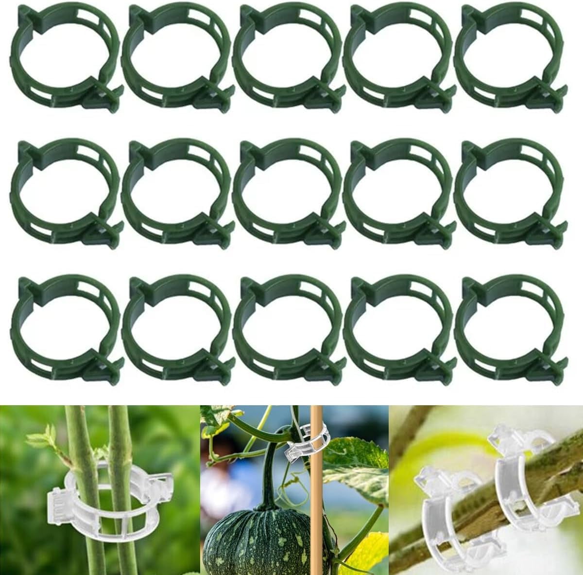 Thickened Plant Fixing Clip 100Pcs, 2025 Summer New Tomato Grape Vine ...