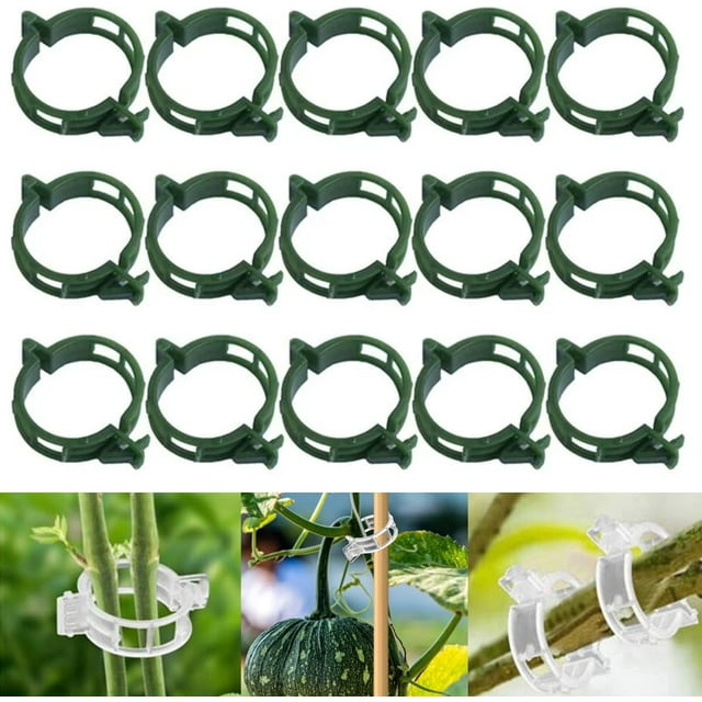Thickened Plant Fixing Clip 100Pcs, 2025 Summer New Tomato Grape Vine ...