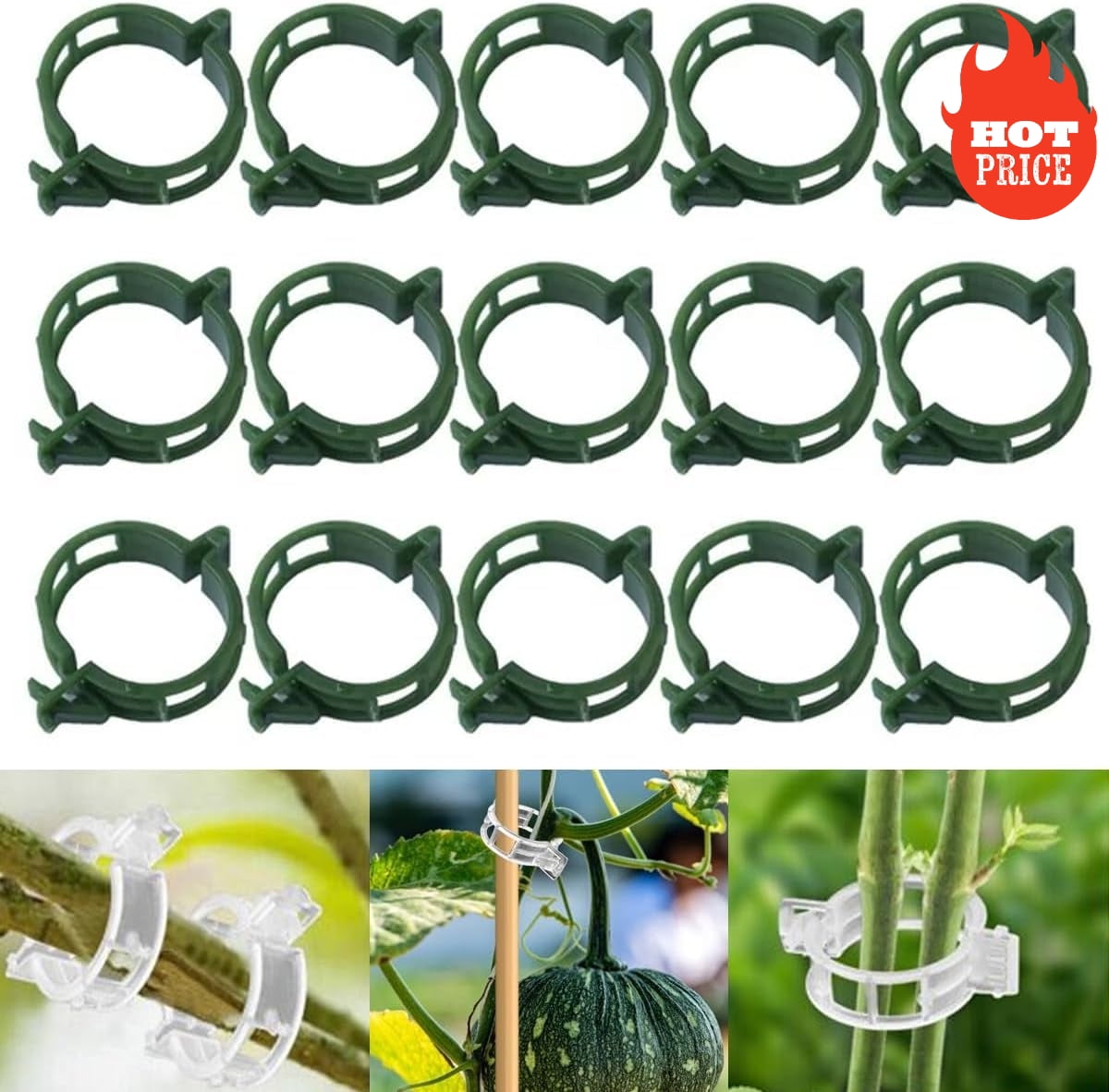 Thickened Plant Fixing Clip 100Pcs, 2025 Summer New Tomato Grape Vine ...