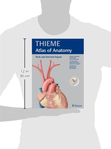Pre-Owned Neck and Internal Organs (THIEME Atlas of Anatomy) Schuenke ...