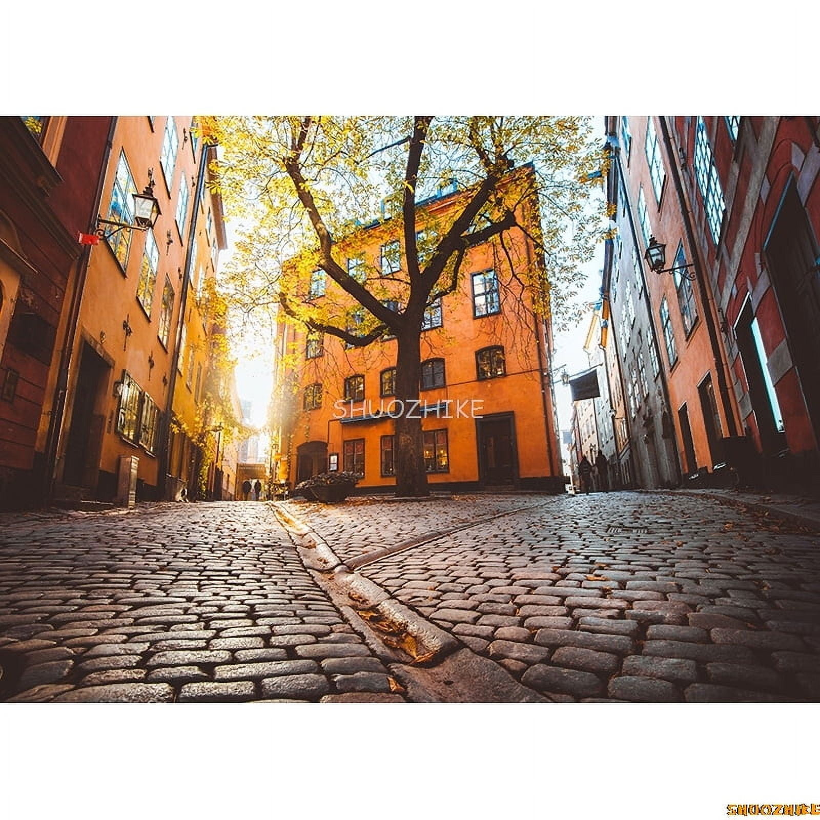 Thin Cloth Antique Brick Wall Photography Backdrops Props Cemt Texture St Theme Photo Studio ...