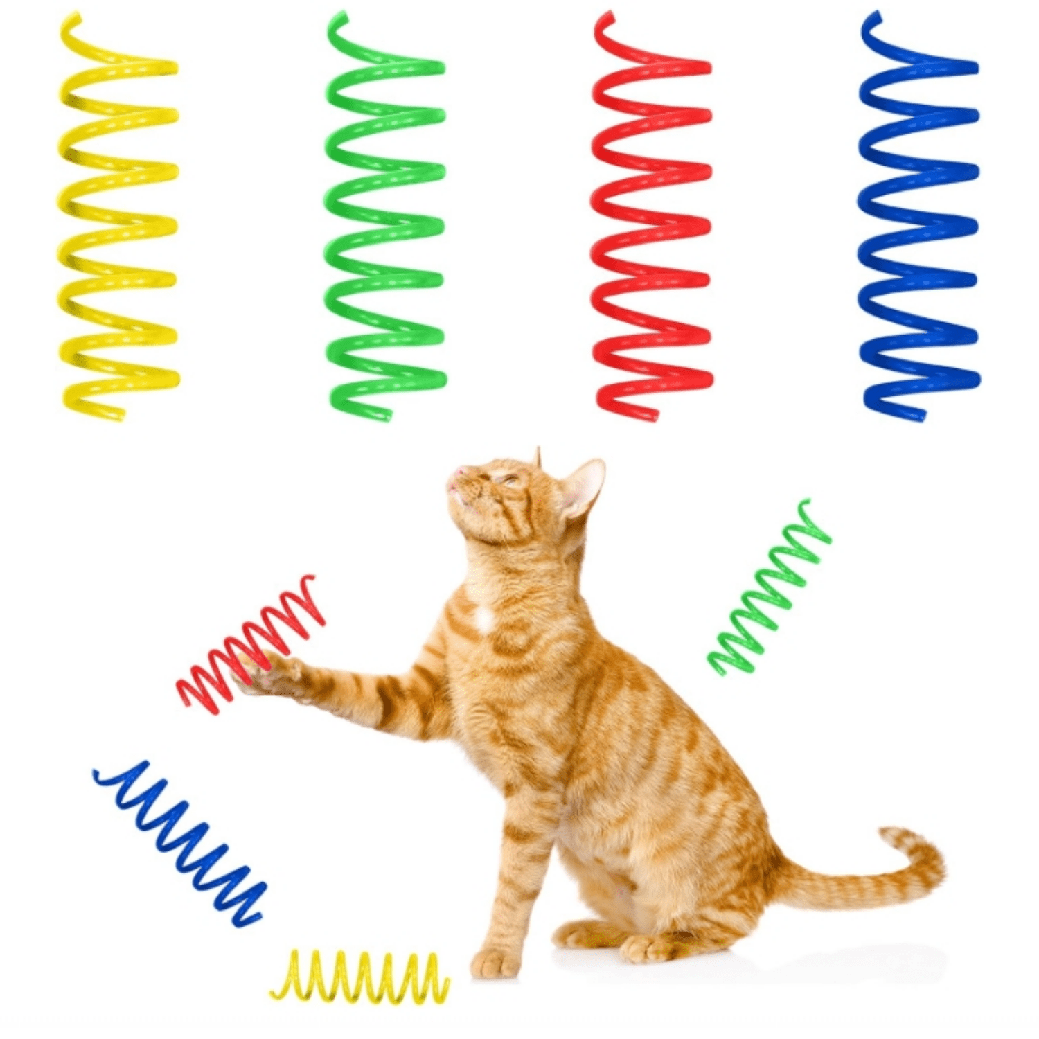 Thin Colorful Springs Cat Toys - Bouncy Coils for Medium Indoor Cat ...