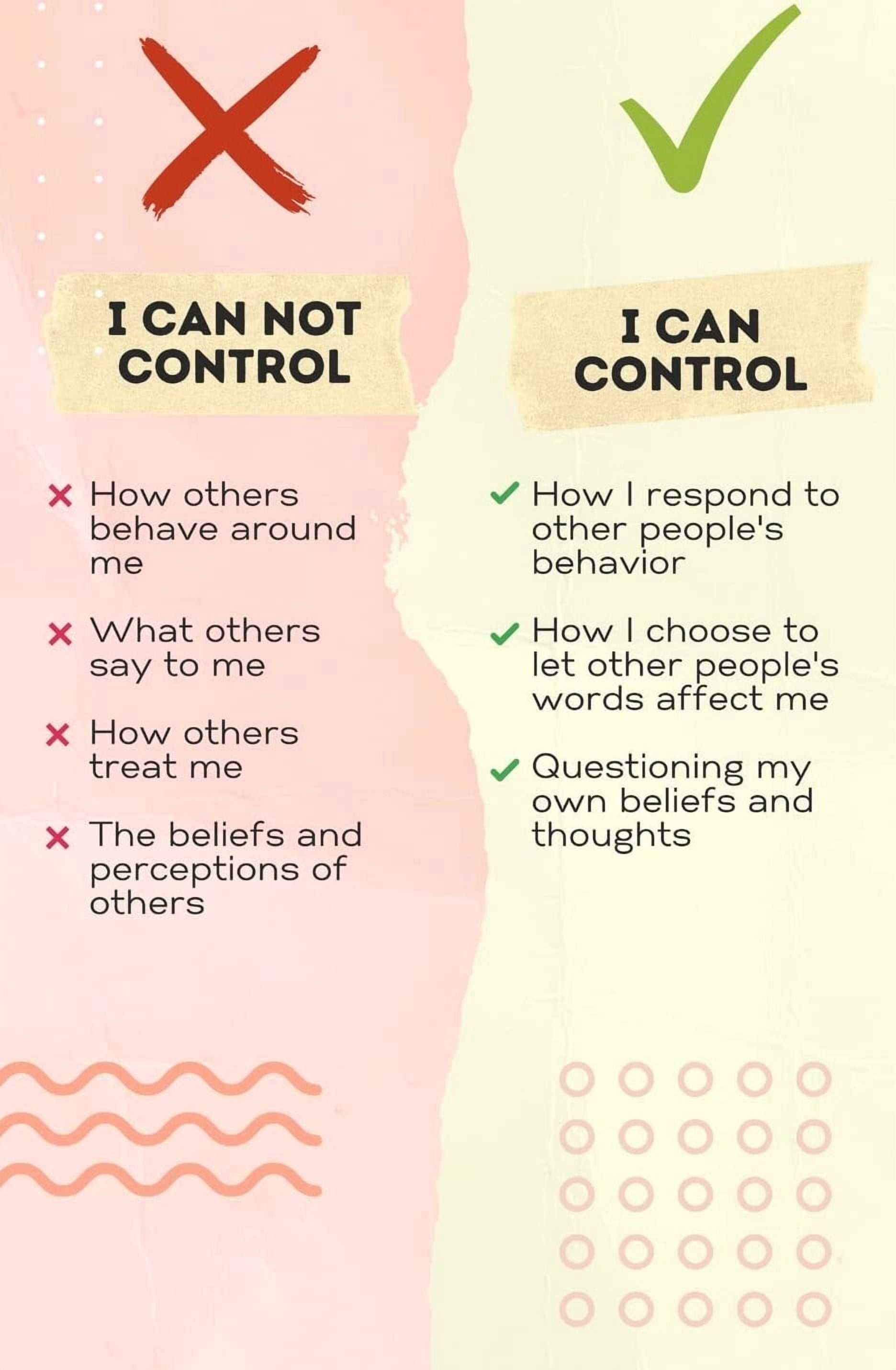 Things I Can Control Poster, Mental Health Poster for Classroom ...