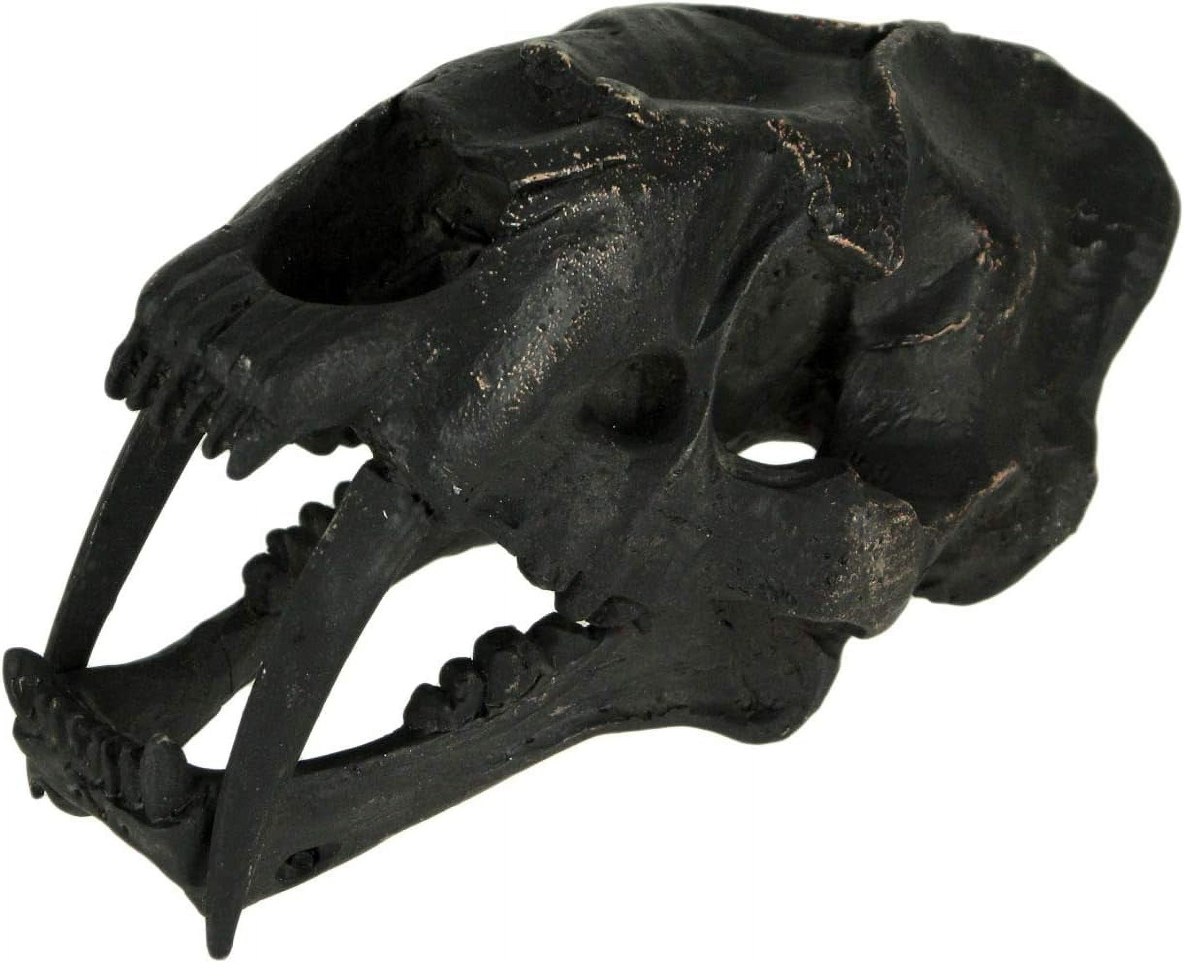 Things2Die4 Black Saber Toothed Cat Skull Statue Smilodon - Walmart.com