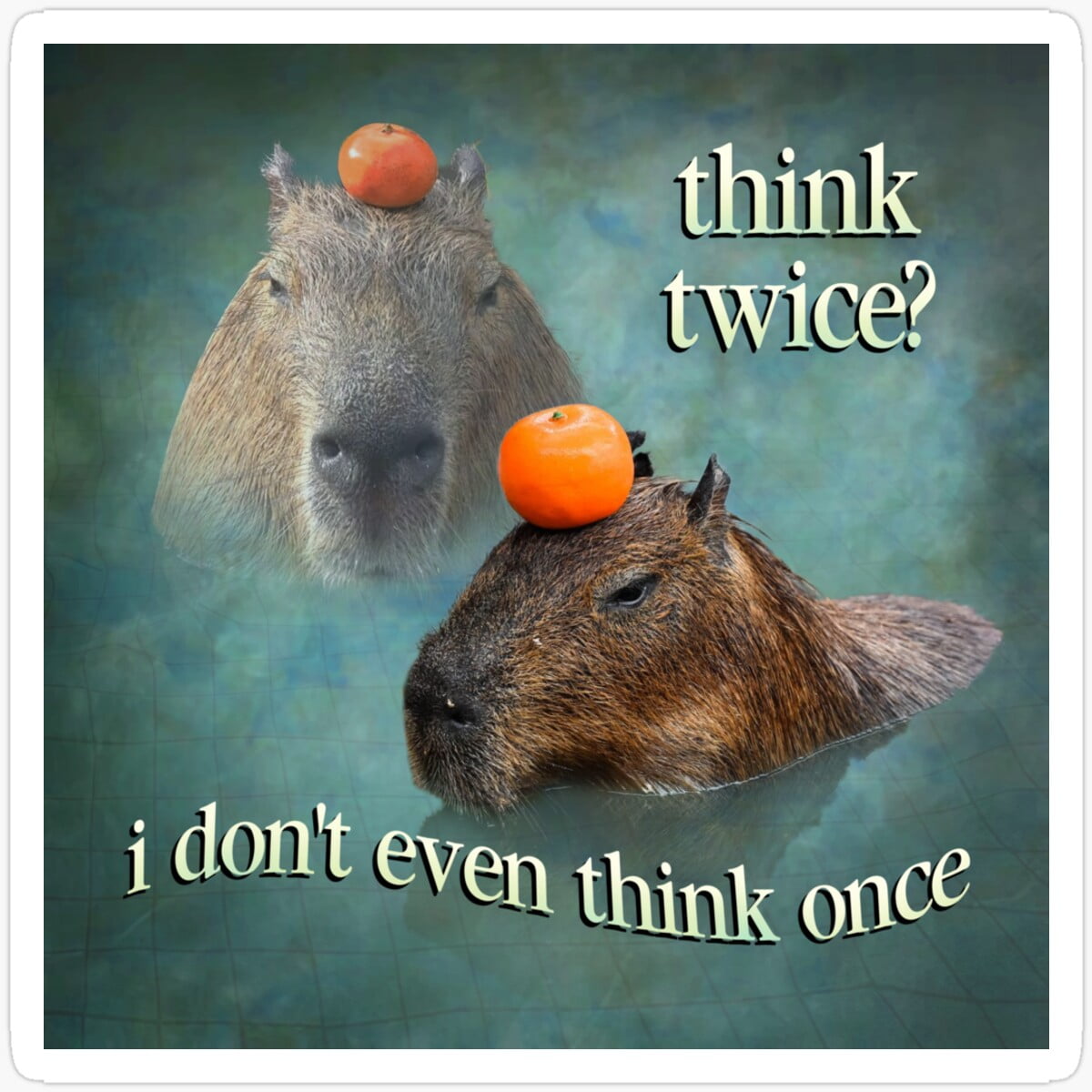 Think Twice? I Don'T Even Think Once Capybara Word Art Sticker. Gift ...