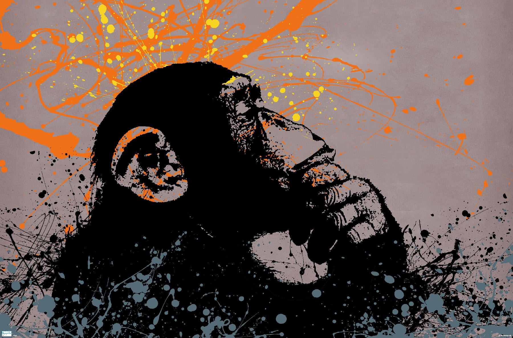 Thinker Monkey - The Graffiti Collection Wall Poster, 22.375" x 34 ...