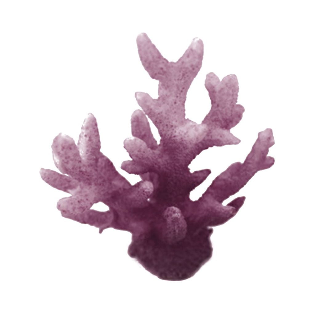 Thinsont Resin Coral Starfish Plant Fish Tank Aquarium Ornament ...