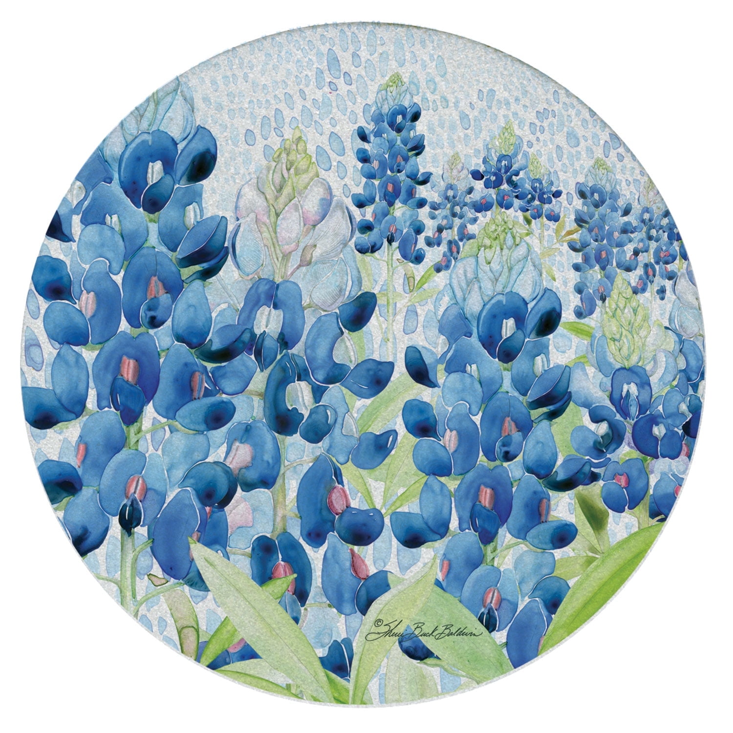 Thirstystone "Bluebonnet Floral" 4-Pack Round Natural Sandstone ...