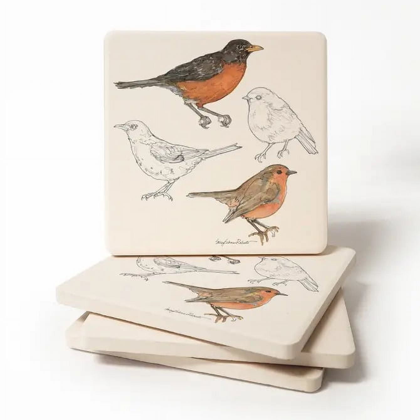 Thirstystone "Robin Field Guide" 4-Pack Stone Coasters - Walmart.com