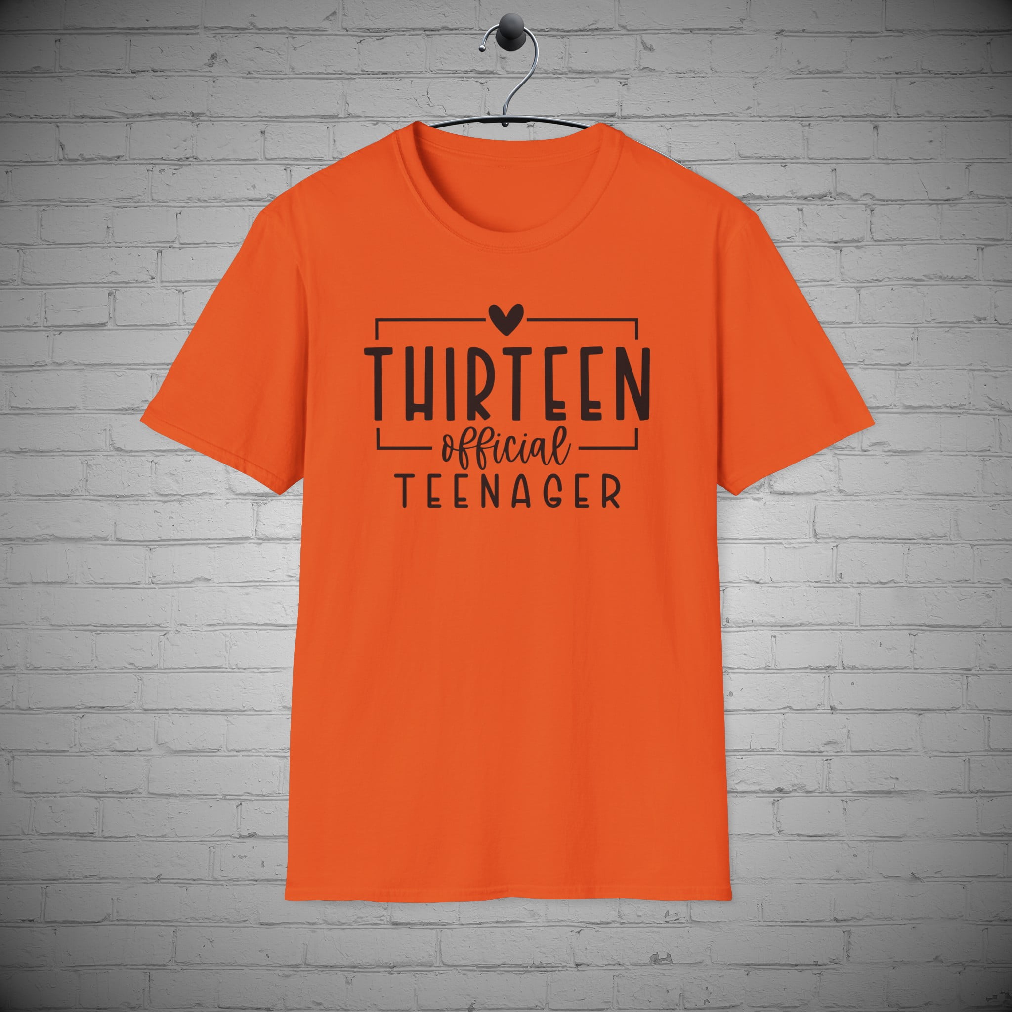 Thirteen Official Teenage T-shirt, 13th Birthday tee, Teenager Teen ...