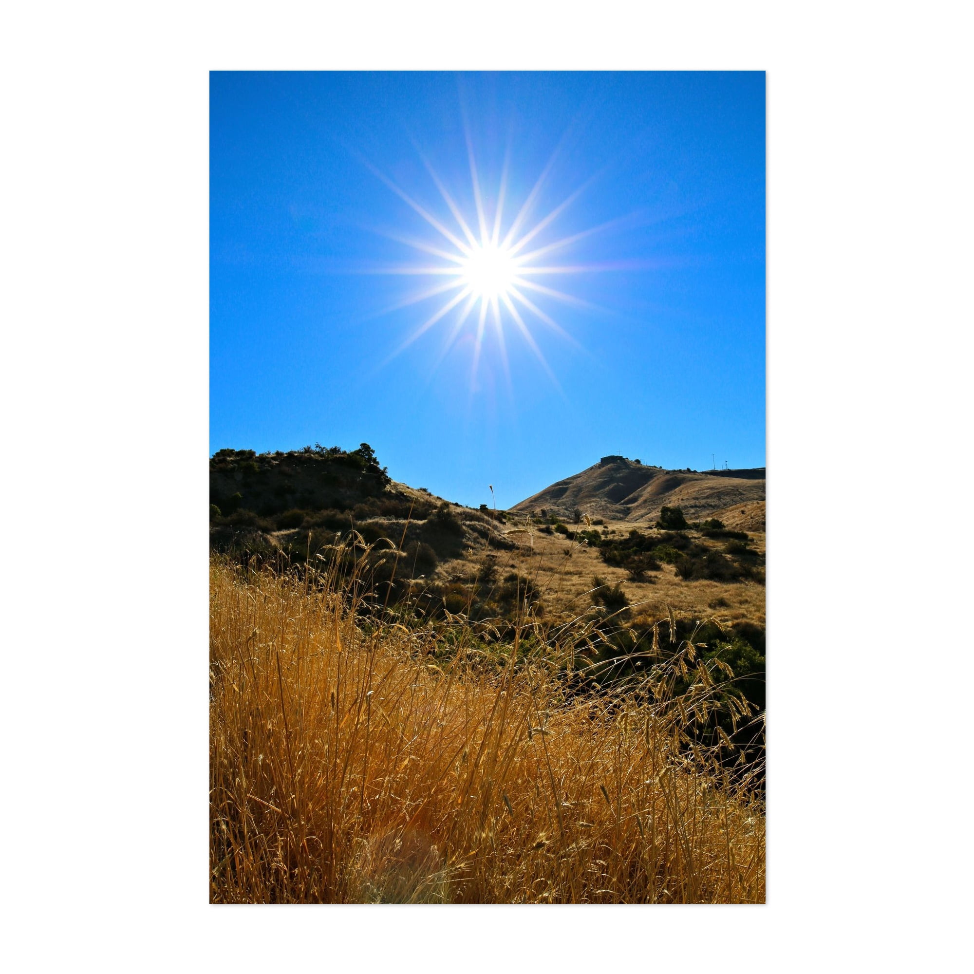 This Idaho Sun - Boise Idaho Photography Landscape Nature Wilderness ...