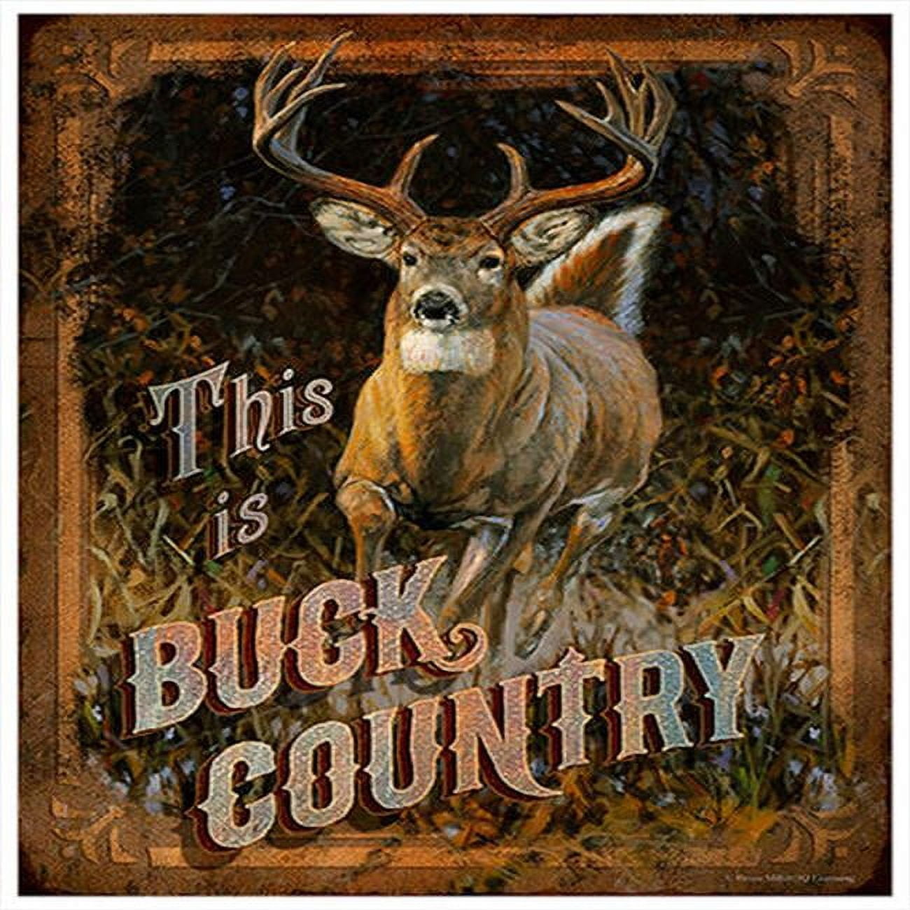This Is Buck Country Novelty Sign - Walmart.com