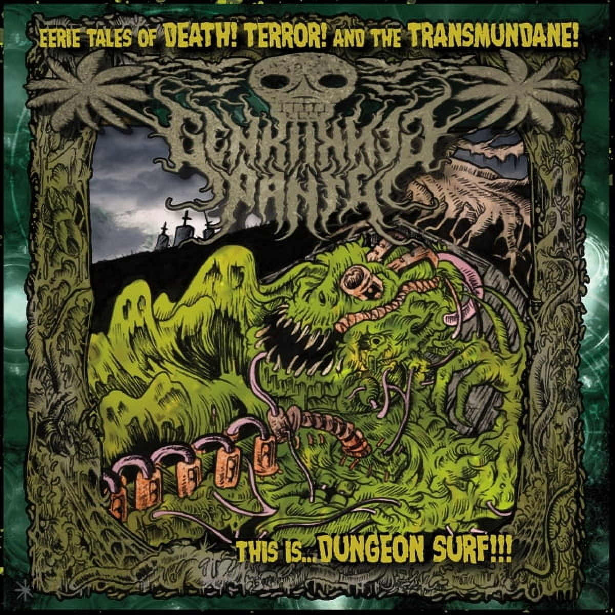Genki Genki Panic This Is... Dungeon Surf (Vinyl Record) - Walmart.com