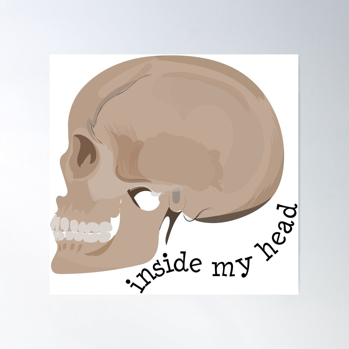 This Is Inside My Head Skull | Human Skull Art | Human Skull Side View ...