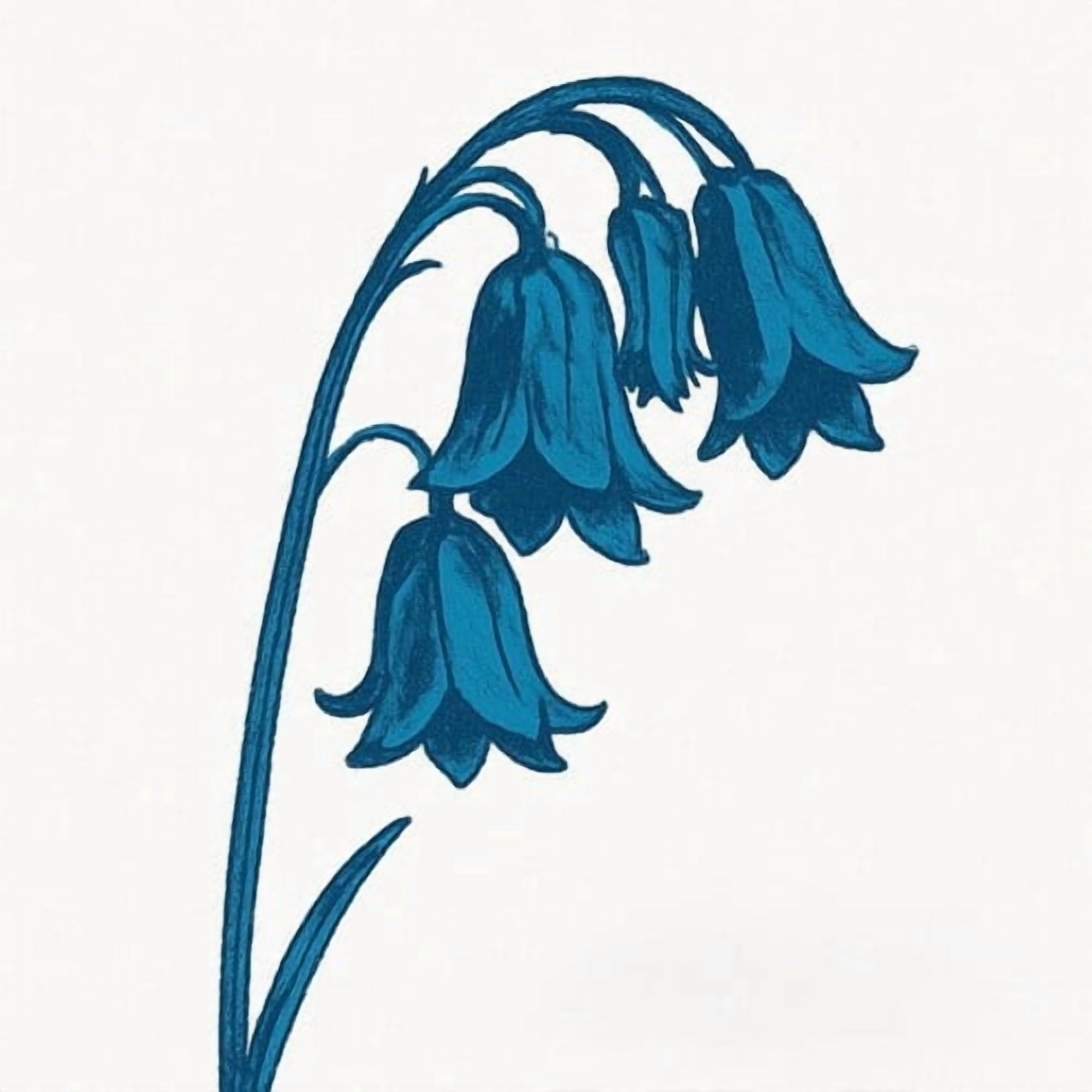 The Bluebells - This Is The Bluebells - Glade Green Vinyl - Music ...