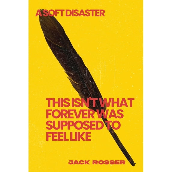 This Isn't What Forever Was Supposed To Feel Like: A Soft Disaster ...
