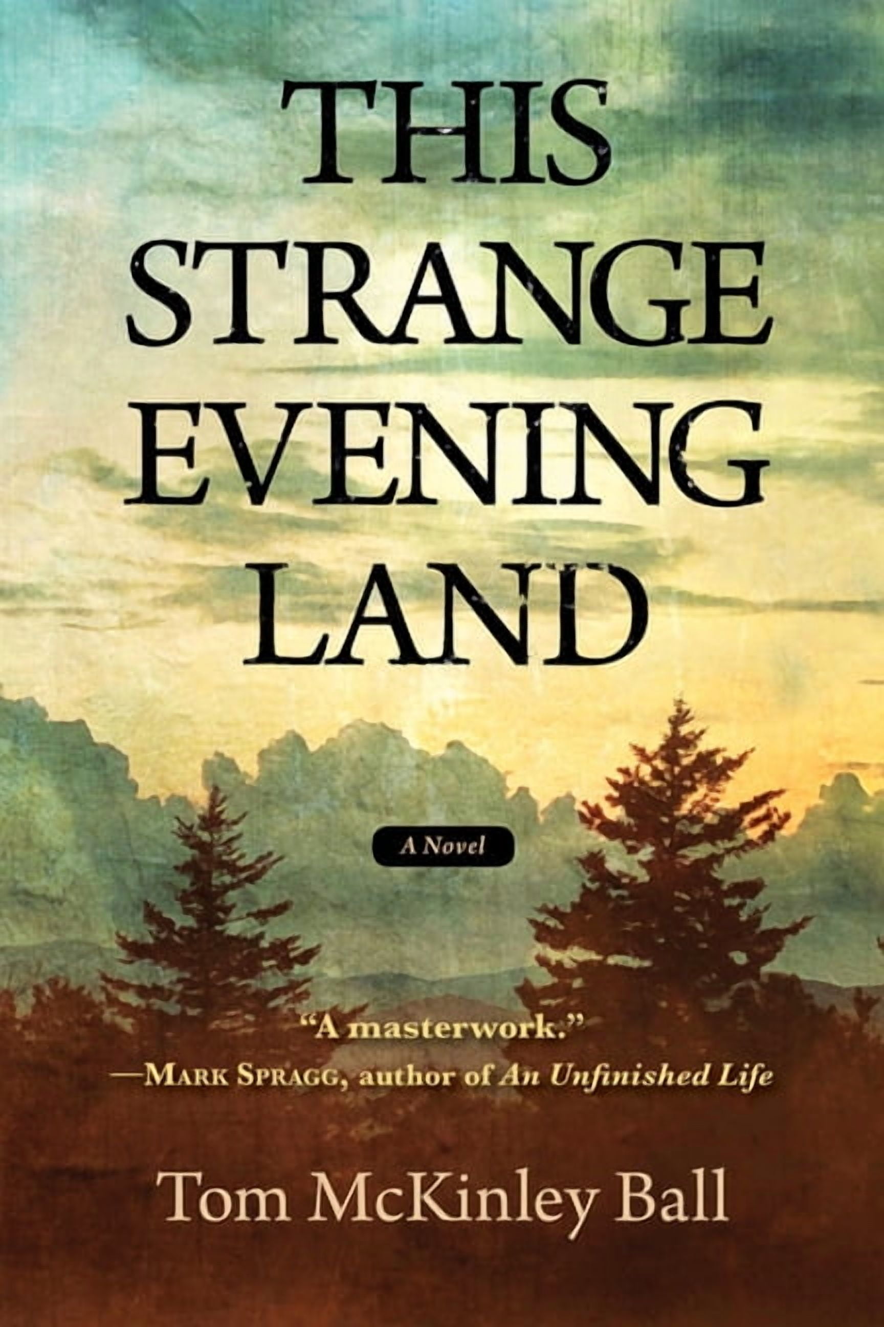 This Strange Evening Land, (Hardcover) - Walmart.com
