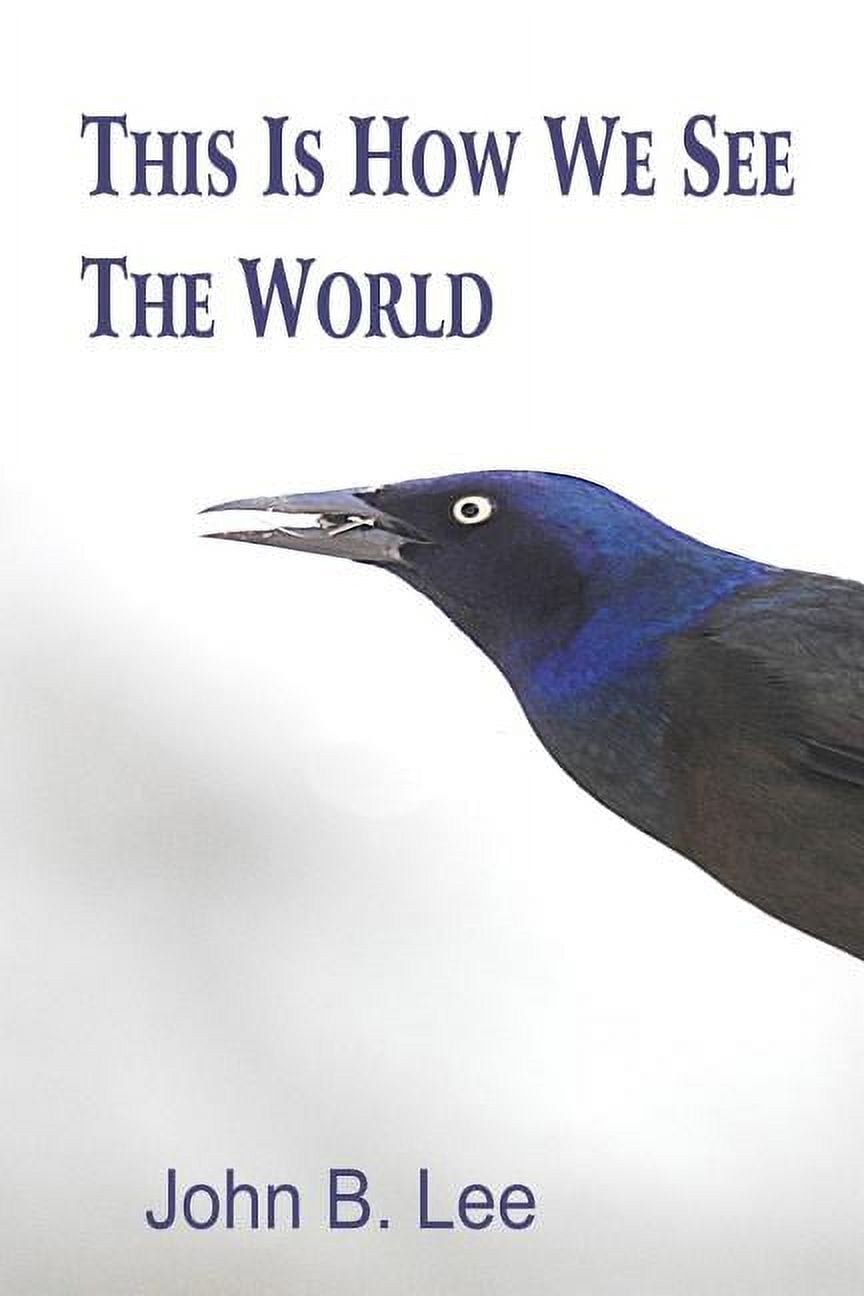 This is How We See the World, (Paperback) - Walmart.com