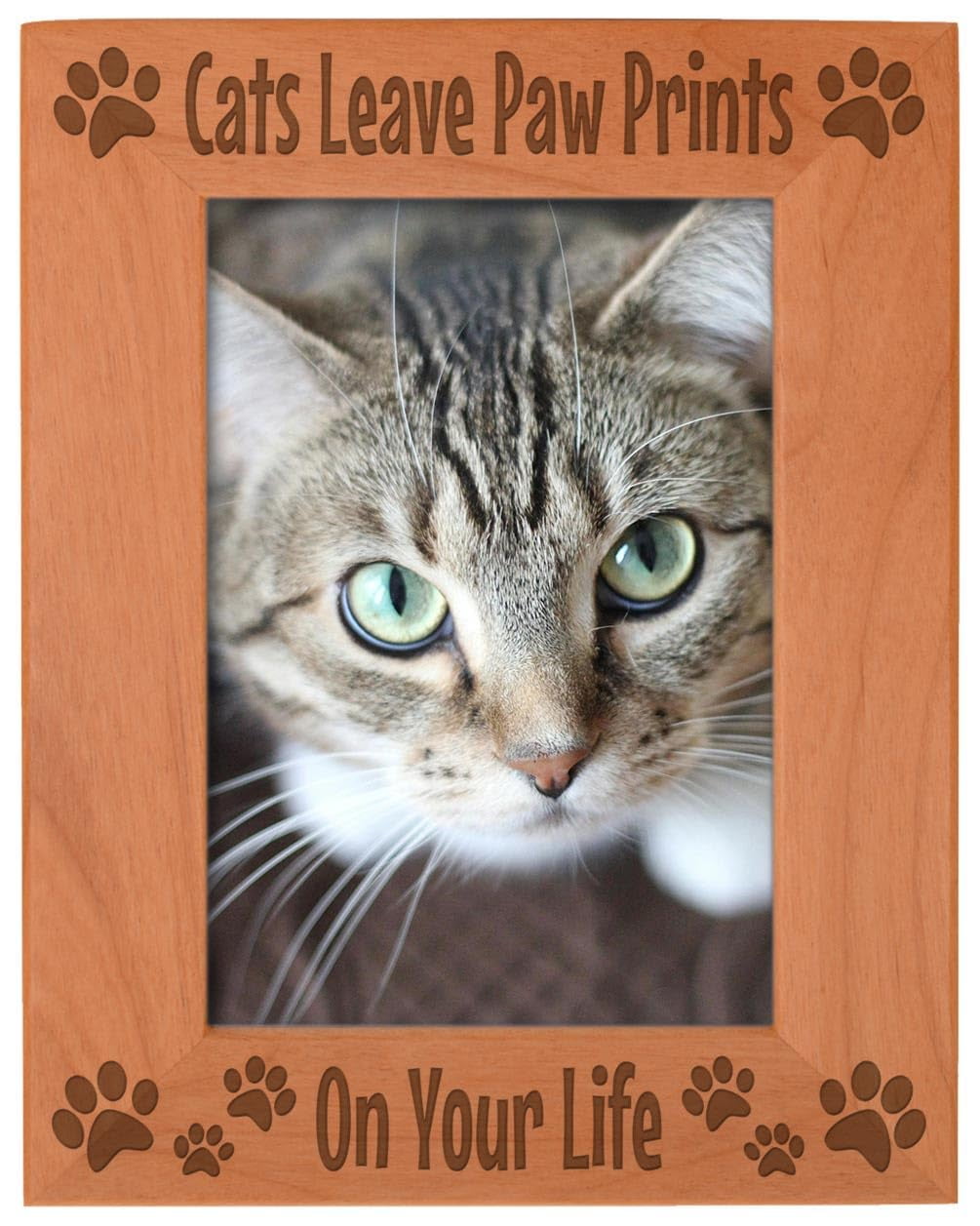 ThisWear Cute Cat Picture Frame Cats Leave Paw Prints On Your Life Wood ...