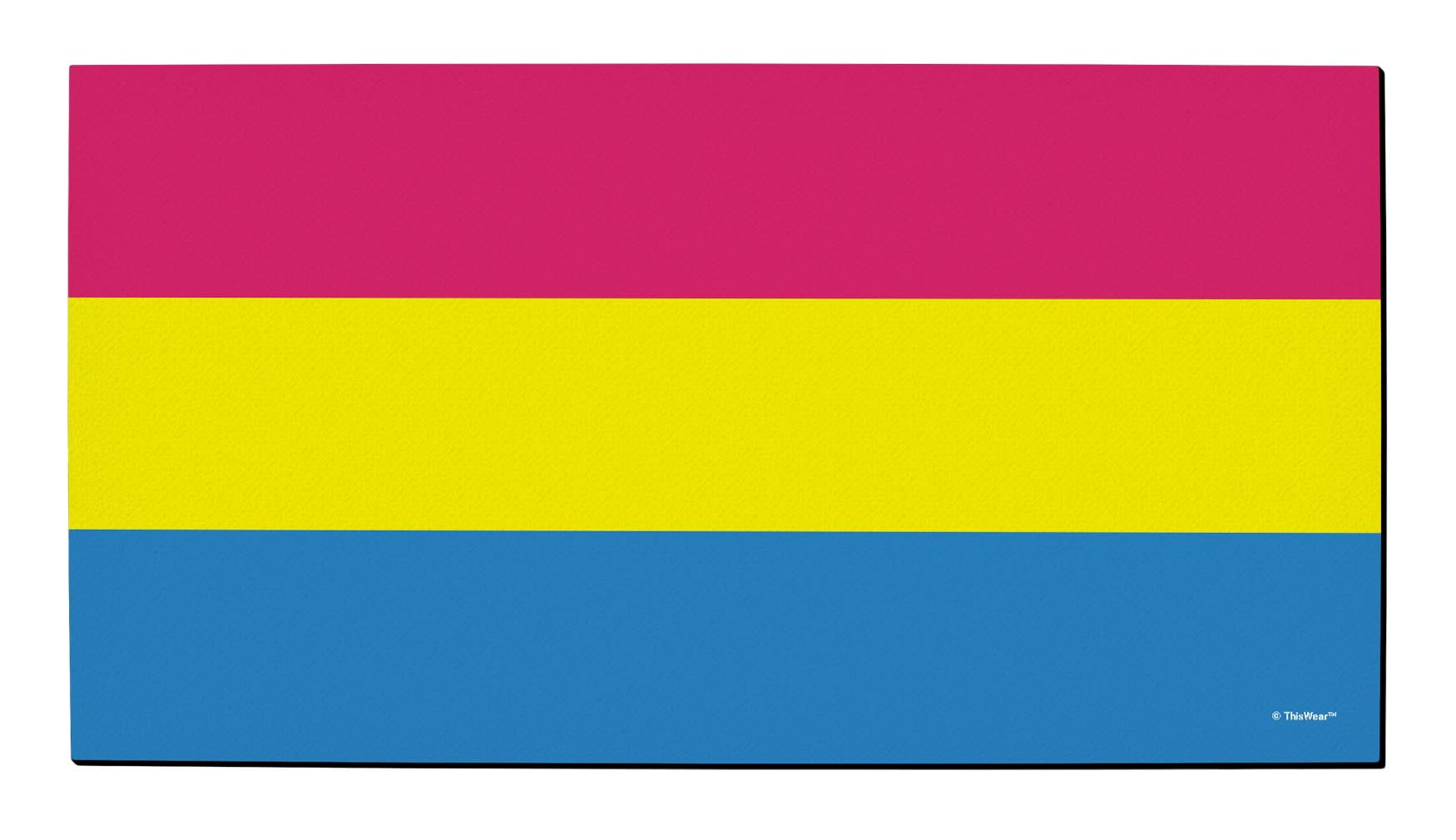 ThisWear Pan Pride Pangender Flag Pangender Gifts Doormat Pan - Walmart.com