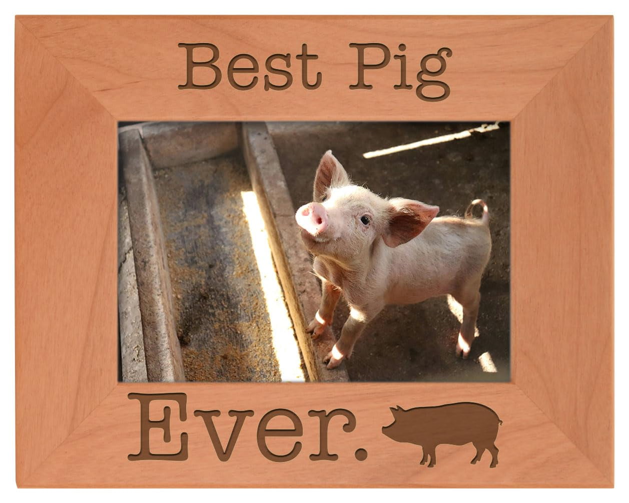 ThisWear Potbelly Pig Gifts Best Pig Ever Natural Wood Engraved 4x6 ...