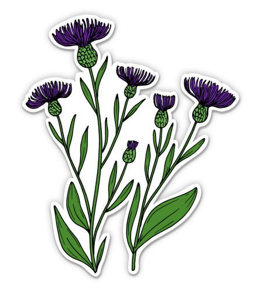 Thistle - 5" Vinyl Sticker - For Car Laptop I-Pad - Waterproof Decal ...
