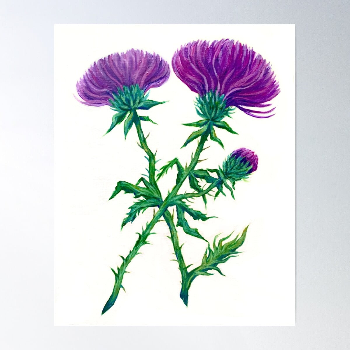 Thistle Bundle Acrylic Art Poster Wall Art, Modern Wall Decor For ...