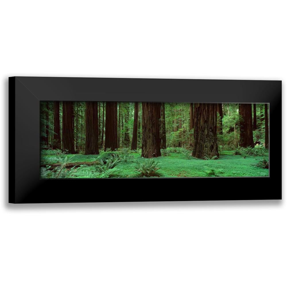 Thomas, Alain 18x9 Black Modern Framed Museum Art Print Titled ...