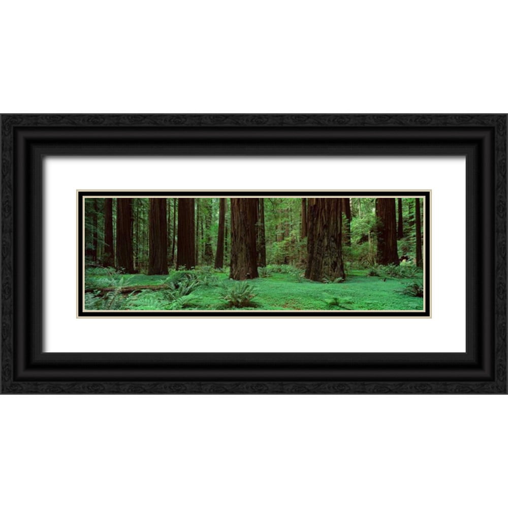 Thomas, Alain 24x11 Black Ornate Wood Framed with Double Matting Museum ...