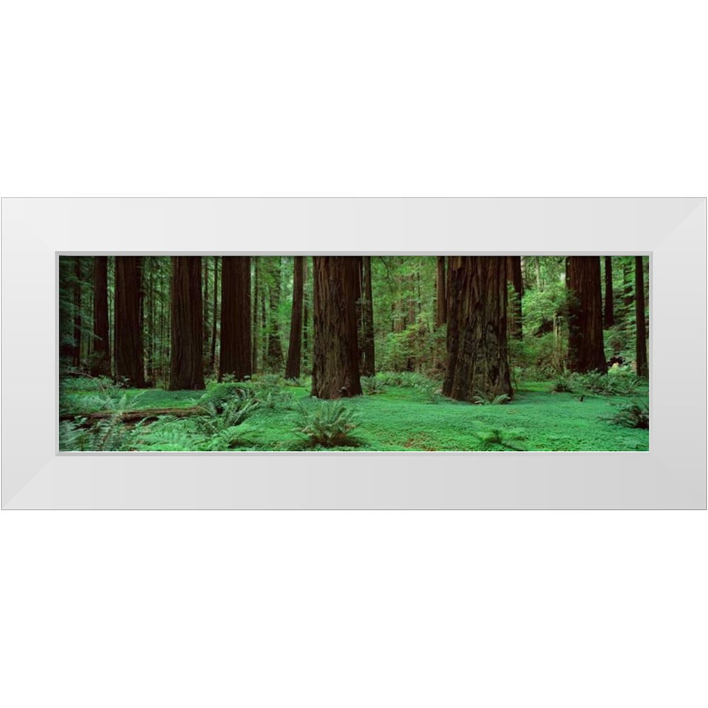 Thomas, Alain 32x13 White Modern Wood Framed Museum Art Print Titled ...