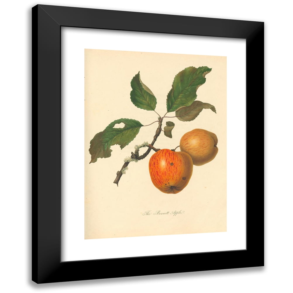 Thomas Andrew Knight 11x14 Black Modern Framed Museum Art Print Titled ...