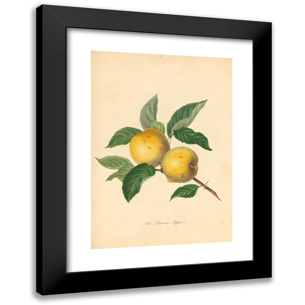 Thomas Andrew Knight 11x14 Black Modern Framed Museum Art Print Titled ...