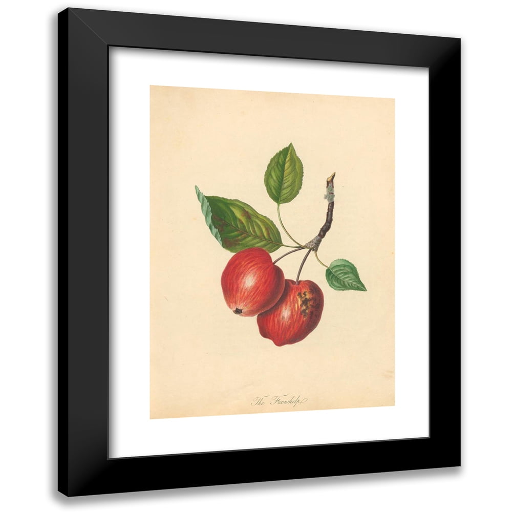 Thomas Andrew Knight 11x14 Black Modern Framed Museum Art Print Titled ...