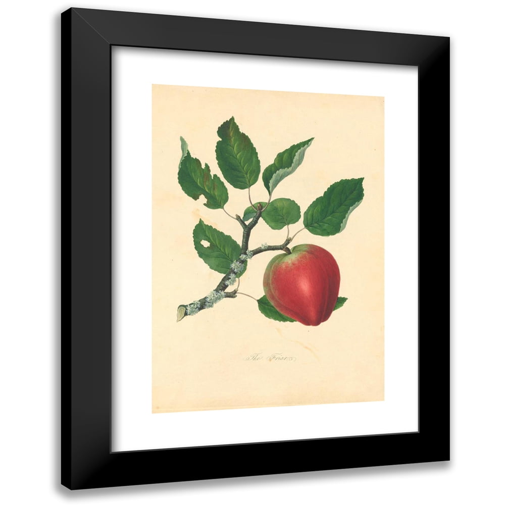 Thomas Andrew Knight 11x14 Black Modern Framed Museum Art Print Titled ...