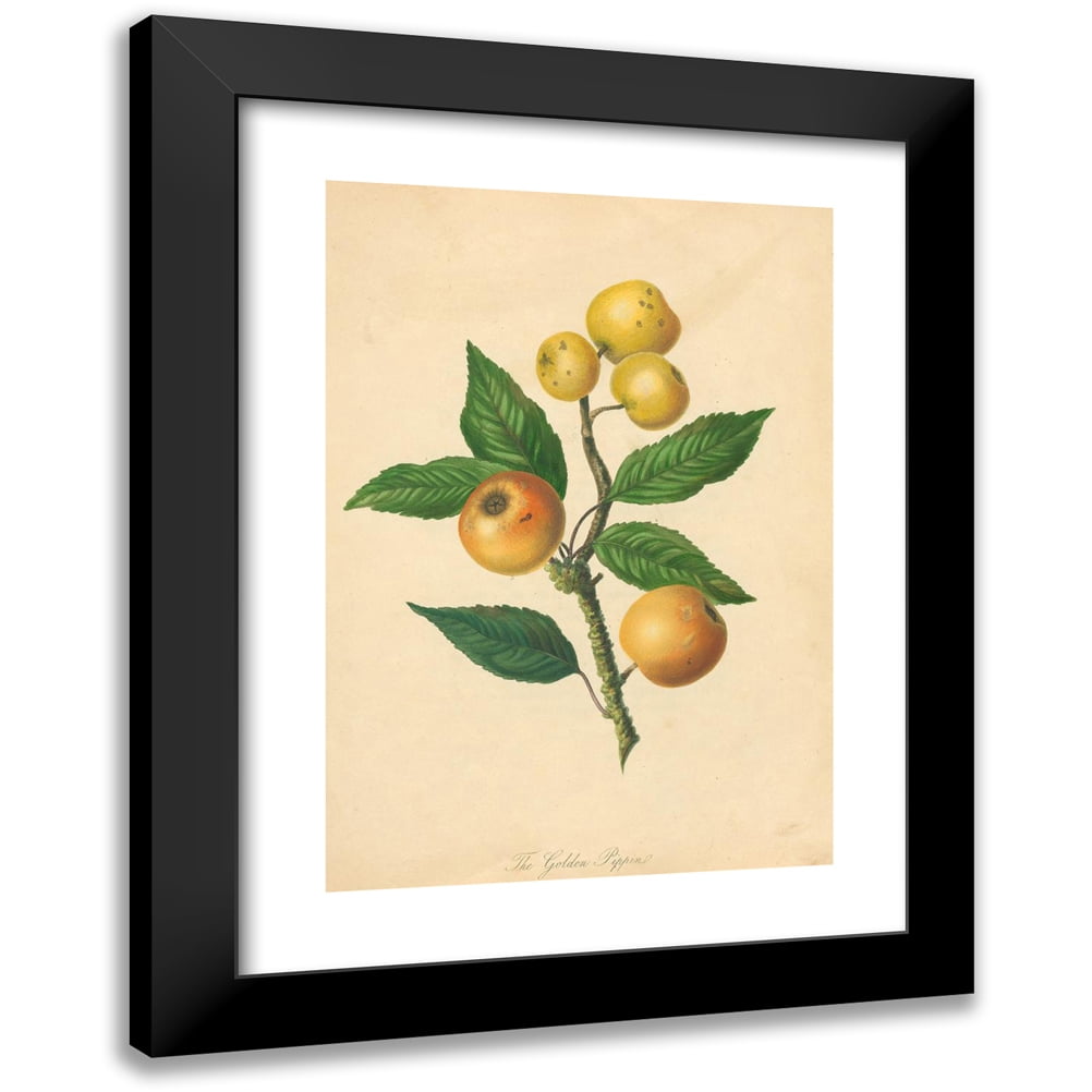 Thomas Andrew Knight 11x14 Black Modern Framed Museum Art Print Titled ...