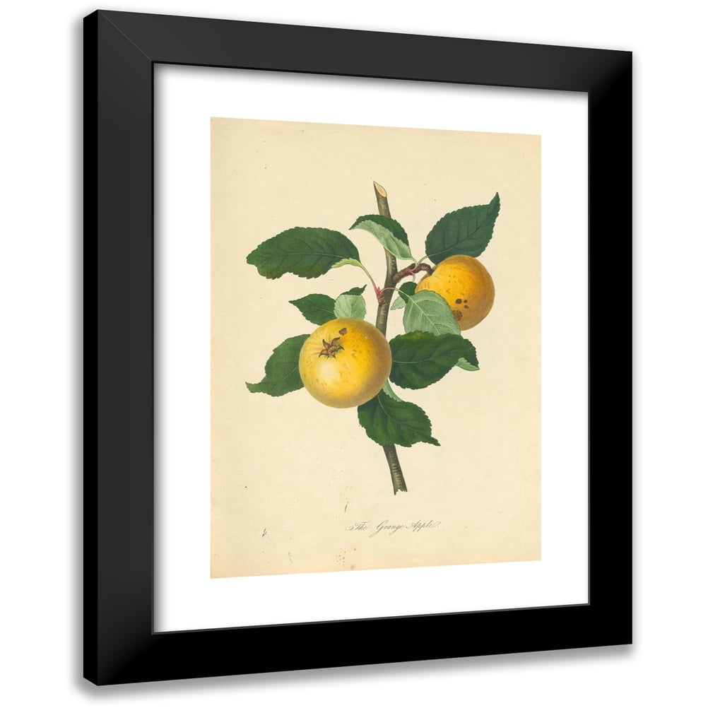 Thomas Andrew Knight 11x14 Black Modern Framed Museum Art Print Titled ...