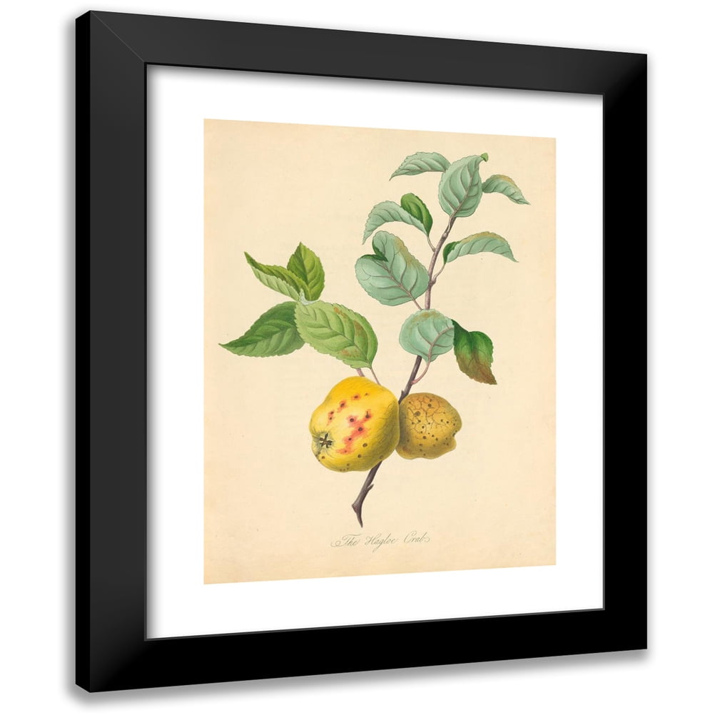 Thomas Andrew Knight 11x14 Black Modern Framed Museum Art Print Titled ...