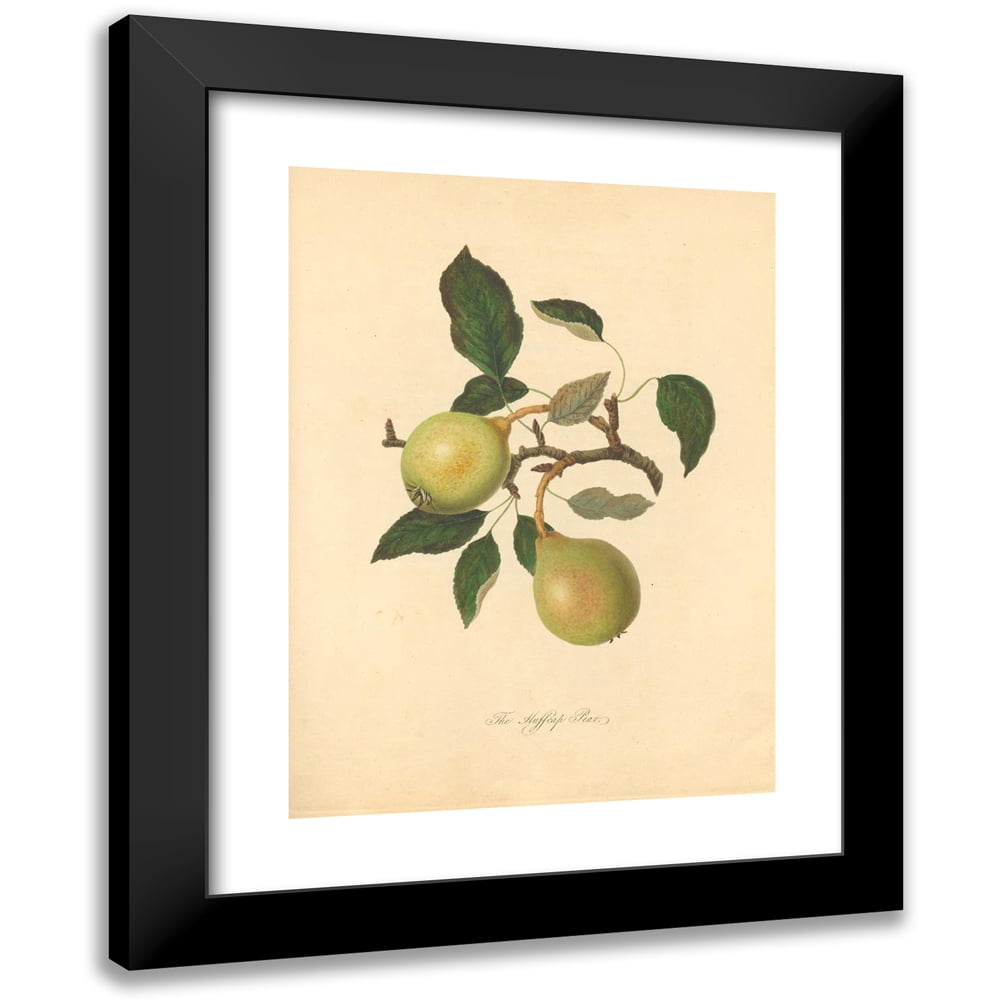 Thomas Andrew Knight 11x14 Black Modern Framed Museum Art Print Titled ...