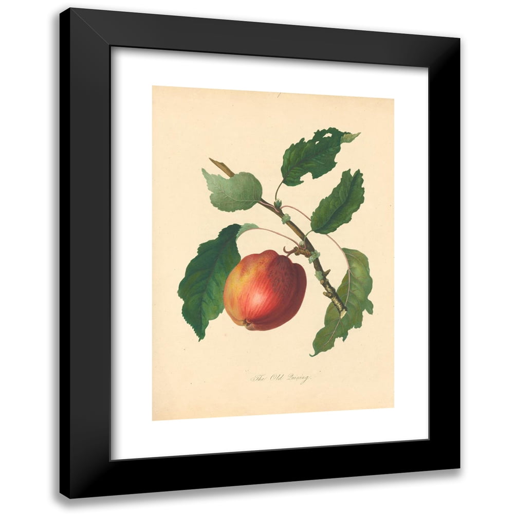 Thomas Andrew Knight 11x14 Black Modern Framed Museum Art Print Titled ...