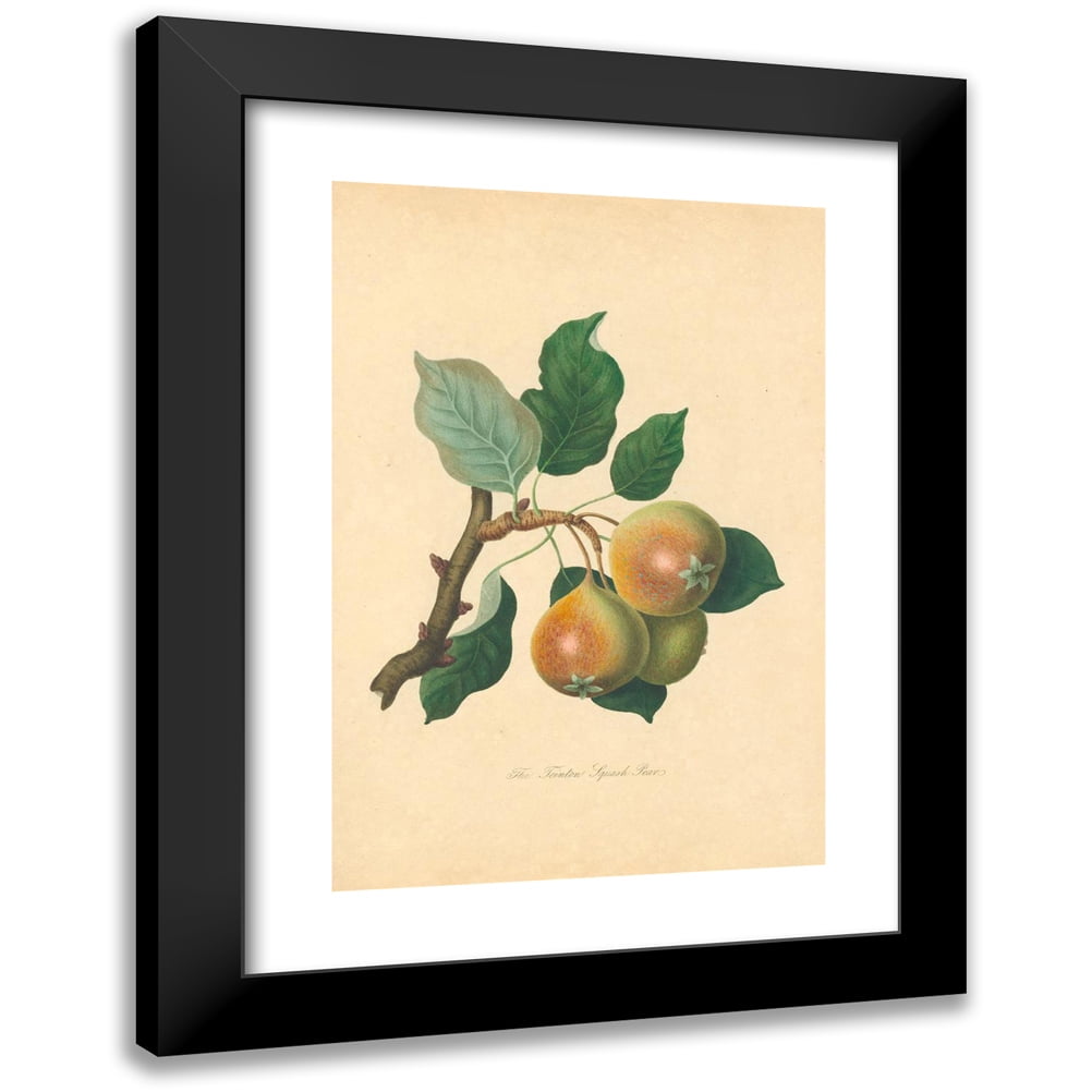 Thomas Andrew Knight 11x14 Black Modern Framed Museum Art Print Titled ...